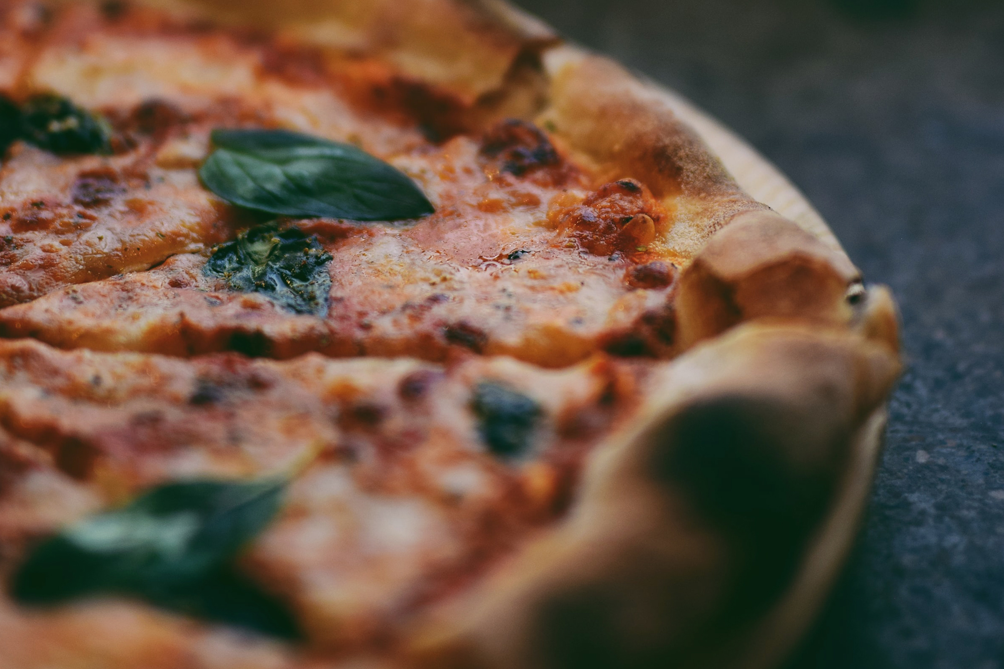 Gallery – Modo Mio